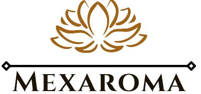 Erba Pura 100 ml EDP - mexaromastore.com